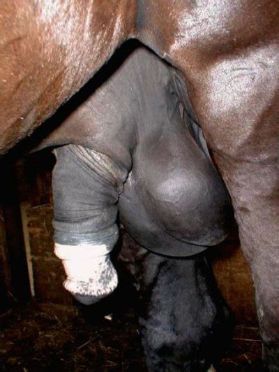 Tumbex