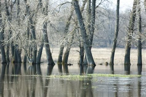 The Spring Flood Flooded The Field And The Village Road Flood Water In