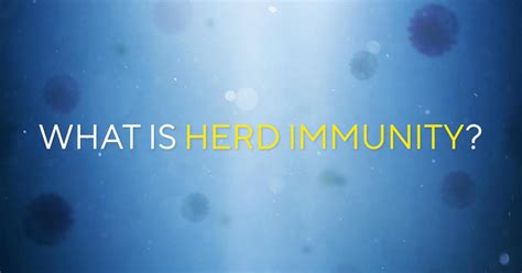 What Is Herd Immunity And Why Does It Matter Cbs News