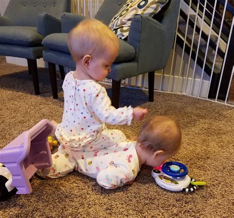 Terrible Twos Arent So Terrible Typical Behavior For A Two Year Old