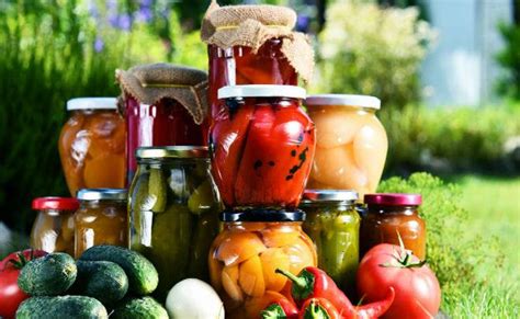 Curso Sena En Conservación De Frutas Y Verduras Cursos Del Sena Sofia