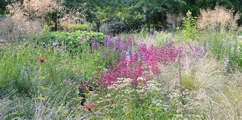 Loch Leven Garden And Nursery — New Zealand Garden Trust