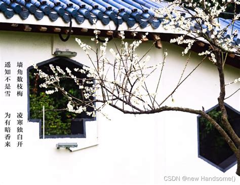 31、学习 Java 中的枚举类型java 季度枚举 Csdn博客