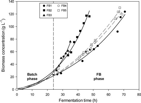 A Biomass Time Profile Of The Fed Batch Cultures Performed Experiment Download Scientific