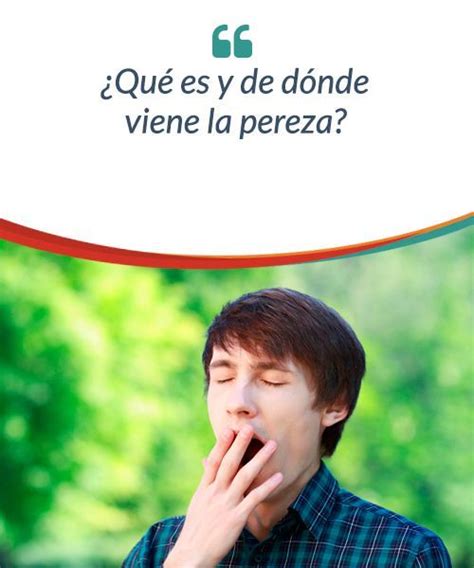 Qué es y de dónde viene la pereza La Mente es Maravillosa en 2020