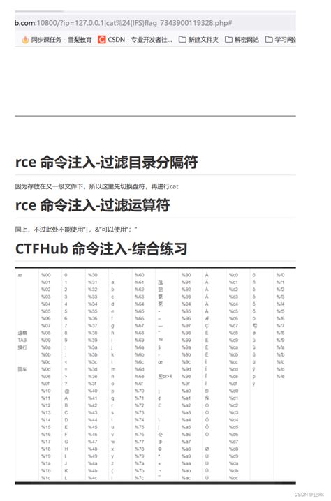 Ctfhubweb Rce题解：过滤目录与运算符在安全挑战中的应用 Csdn博客