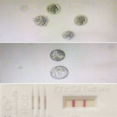 Pooja Deb On Linkedin We Take A Vow To Learn More And Build Our Career