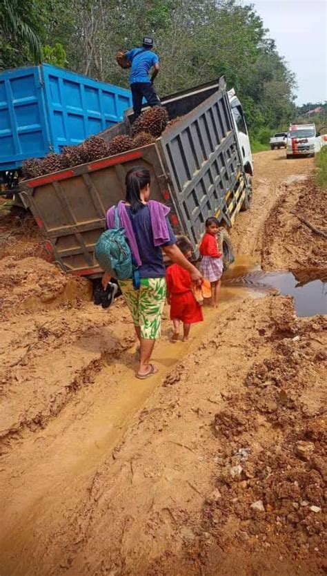 Akses Jalan Provinsi Di Desa Kampung Baru Ibul Rusak Parah Karena