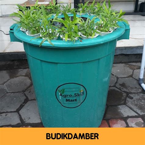 Jual BUDIKDAMBER Budidaya Ikan Dalam Ember Shopee Indonesia