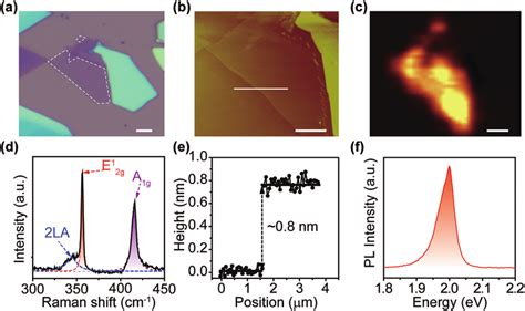 Preparation And Characterization Of Monolayer Ws 2 A Optical Image