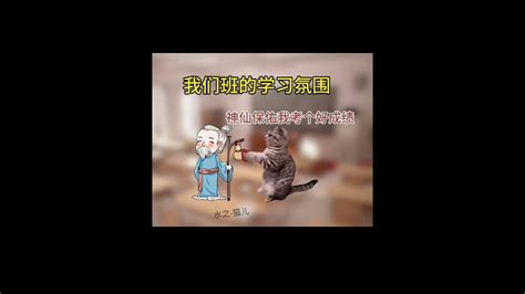猫咪上学日记（新号别搞） Youtube