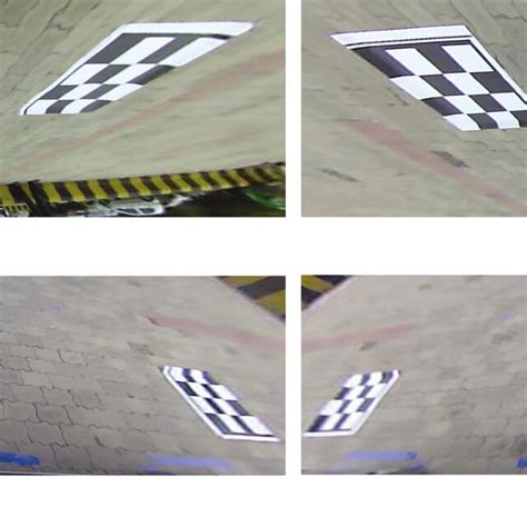 Output Images Produced By Proposed Algorithm For The Set Of Input Fish Download Scientific