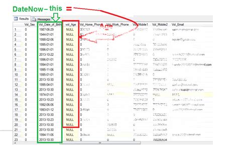 Calculate The Age And Insert It To An Already Column Via SQL Server