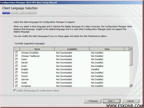 How Can I Install Sccm 2012 Sp1 Beta Casprimary With Sql Server 2008