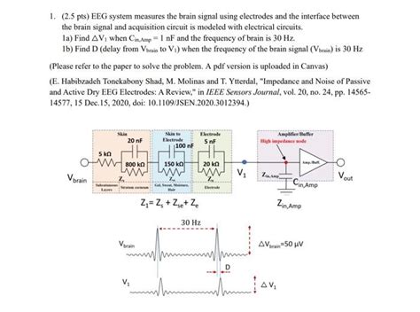 1 25pts Eeg System Measures The Brain Signal
