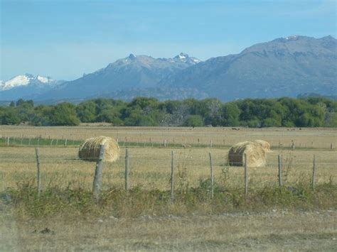 Europa Con Más Legumbres Y Menos Carne Así Será El Agro En La Próxima