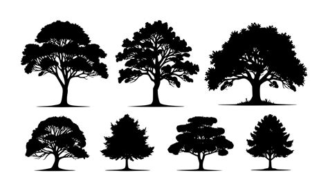 Set Of Tree Shadow Figures 50739986 Vector Art At Vecteezy