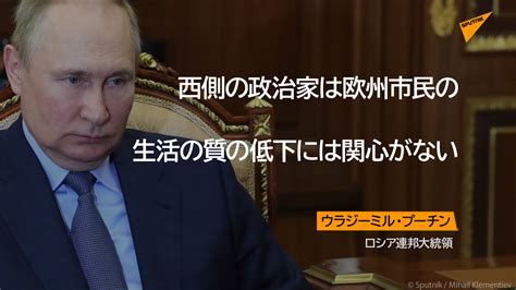 Sputnik 日本 On Twitter 🗨️ ロシアのプーチン大統領は1日、金属業界の状況に関する会議の中で、自国経済を犠牲にしてまで