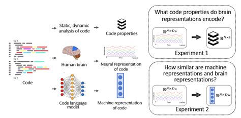 Github Alfa Groupcode Representations Ml Brain Neurips 2022