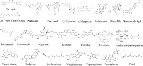 Chemical Structure Of Nps Targeting Cscs Download Scientific Diagram