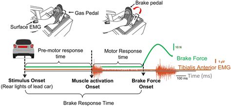 Experimental Paradigm Braking Assessment On The Driving Simulator