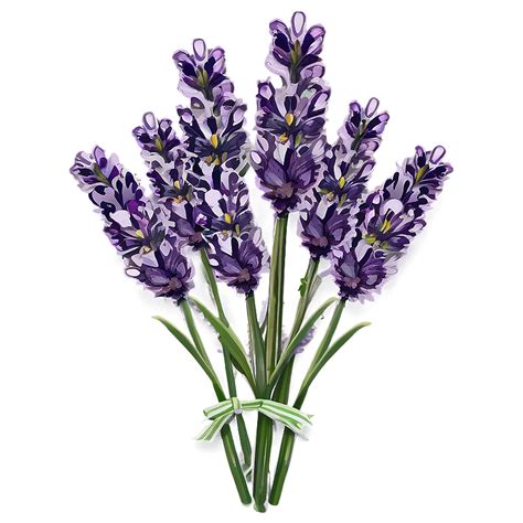 Download Lavender Herb Garden Png Xrd