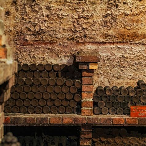 Stari Podrum Iločki Podrumi