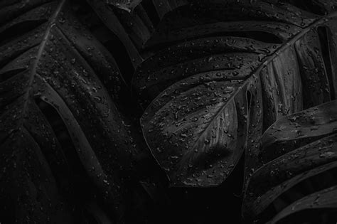 Imágenes De Fondos Pantalla Aesthetic Negro Descarga Gratuita En Freepik