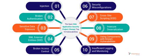 Building Secure Web Applications Best Practices And Techniques Triotech Systems