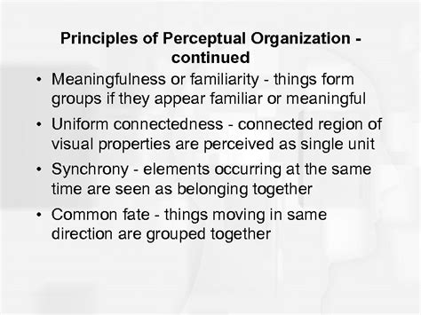 Chapter 5 Perceiving Objects And Scenes Modern