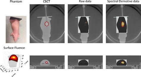 Figure 4 From Quantitative Bioluminescence Tomography Using Spectral