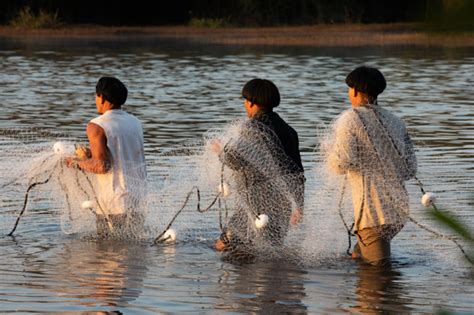 Quarup Ritual Dos Indigenas Do Xingu Ameacado Foto Sitah4 Conexão Planeta
