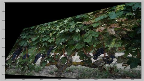 Stitch Images With Opencv 3 Contrib And Python 27 Opencv Qanda Forum