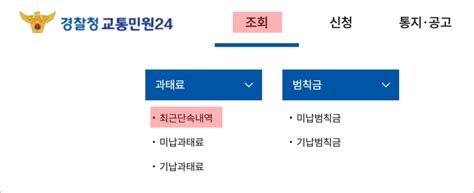 차량 과태료 조회 자동차 속도위반 주정차 납부 방법 총정리 짧고 쉬운 경제이야기
