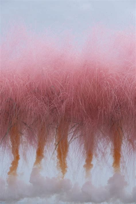 A ‘fight Between Control And Utter Freedom Artist Cai Guo Qiang