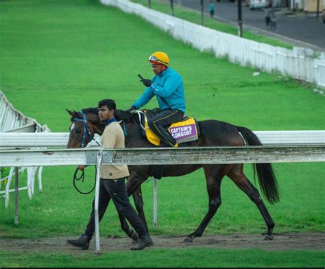 Mauritius Turf Club Mtc 𝑹𝒂𝒎𝒆𝒔𝒉𝒘𝒂𝒓 𝑮𝒖𝒋𝒂𝒅𝒉𝒖𝒓 𝑺𝒕𝒂𝒃𝒍𝒆 𝒍𝒐𝒔𝒆𝒔 𝑫𝒆𝒔𝒆𝒓𝒕 𝑻𝒉𝒊𝒆𝒇 𝒕𝒐 𝒂 𝒄𝒐𝒍𝒊𝒄 The