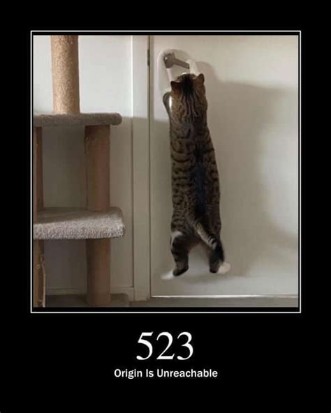523 Origin Is Unreachable Cats