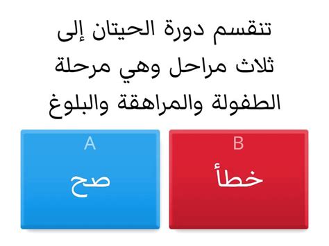 الحيتان Quiz