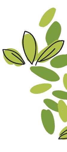 Grow Akf The Learning Hub