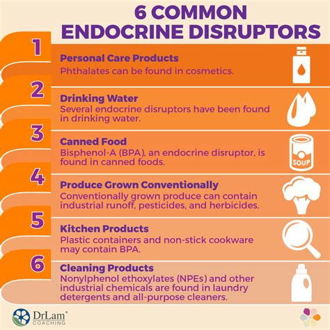 Endocrine Disruptors In Cosmetics At Makayla Sleath Blog