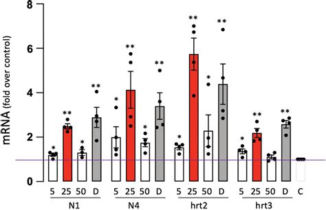 Ethanol Etoh Stimulates Notch Signaling In Hcaec Notch Receptors 1