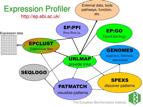 Ppt Arrayexpress A Public Database For Microarray Gene Expression