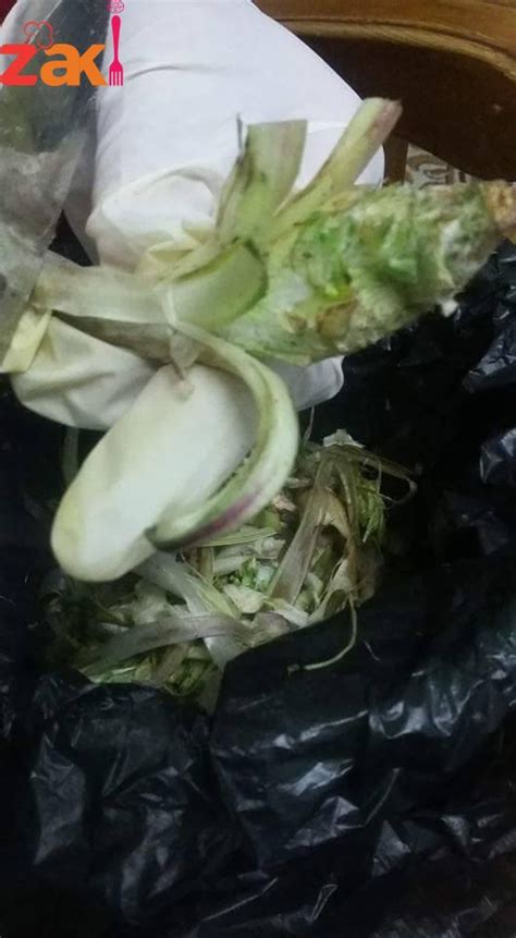 عكوب باللبن أشهى و أطيب و أفخم أكلة فلسطينية زاكي