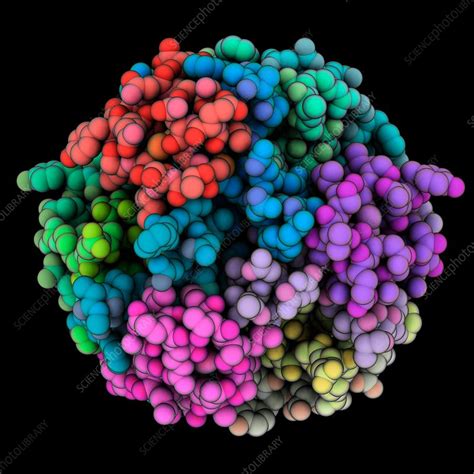 Human Insulin Molecule Stock Image C0358248 Science Photo Library