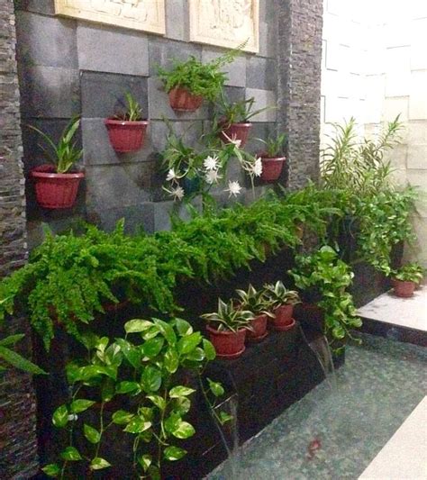 Model Kolam Ikan Minimalis Di Lahan Sempit Homecare