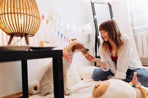 The Beautiful Woman Gives Her Dog An Ice Cream Cone And The Joyful Dog