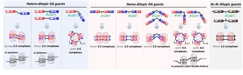 Figure 2 From Host Guest Compounds Oligomeric Cucurbituril Complexes From Peculiar Assemblies