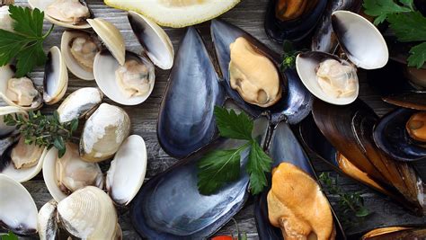 Clams Vs Oysters Shop