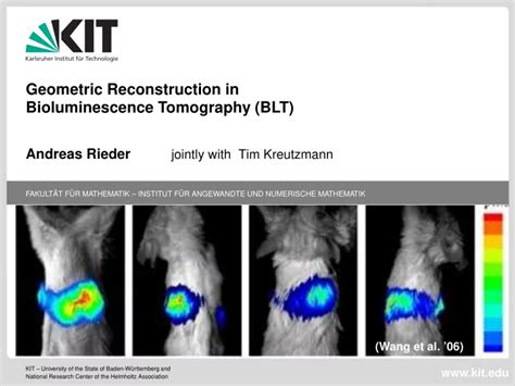 Ppt Geometric Reconstruction In Bioluminescence Tomography Blt